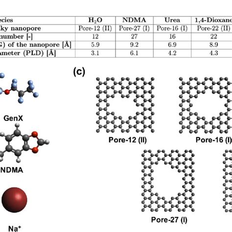 Assessment Of C Passivated Selective Nanopores For Water Desalination