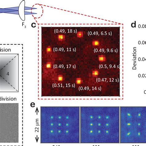 Pdf In Situ Single Atom Array Synthesis By Dynamic Holographic Optical Tweezers