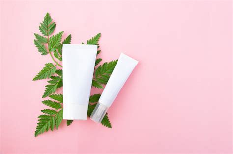 분홍색 파스텔 배경에 녹색 잎에 두 개의 흰색 튜브가 놓여 있습니다 빈 브랜딩 모형 스파 케어 및 뷰티 컨셉 0명에 대한 스톡 사진 및 기타 이미지 Istock