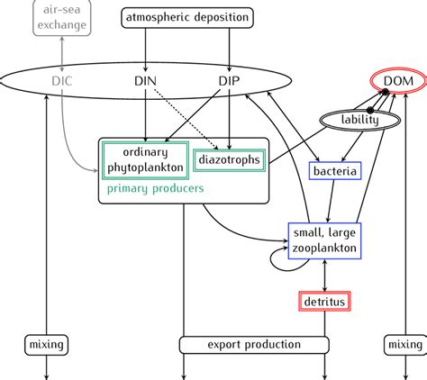 2 optimality based ecosystem model of plankton and dissolved organic download scientific