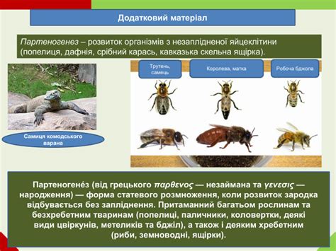 Презентація Розмноження тварин