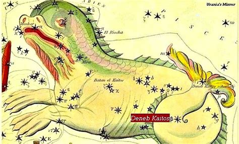 An Illustration Of A Zodiac Sign With Stars In The Sky Above It And Other Astro Symbols Around It