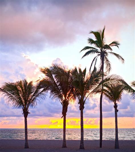 Salida Del Sol Del Verano De Miami Beach De La Florida O Puesta Del