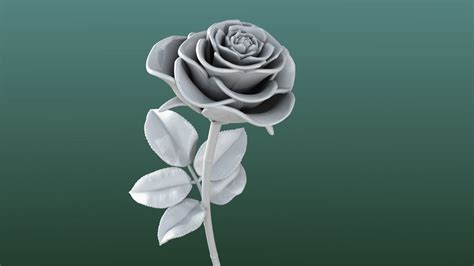 3d Rose Printable Turbosquid 2125183