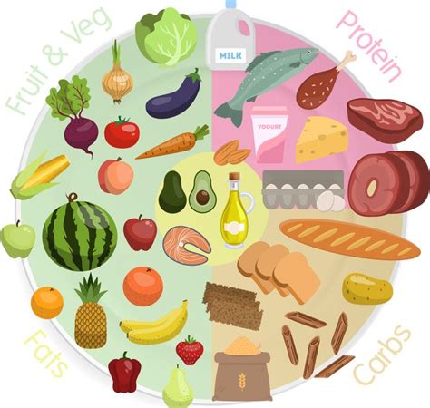 How To Build A Healthy Plate Nutracheck Healthy Plate Healthy Food