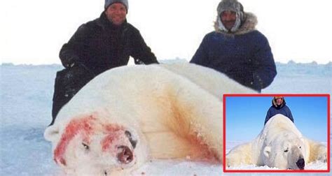 피범벅 돼 죽은 ‘멸종위기 북극곰 앞에서 웃으며 ‘인증샷 찍은 남성들 인사이트