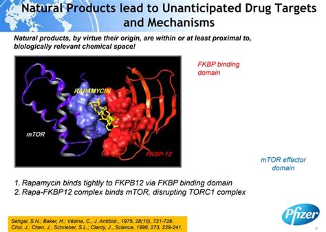 Session 1 Part 4 Ppt