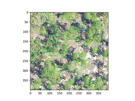 Package Overview — Deepforest 1 5 0 Documentation