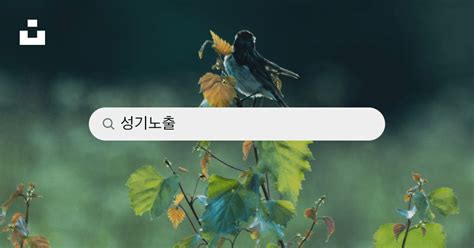 성기노출 Pictures Download Free Images On Unsplash