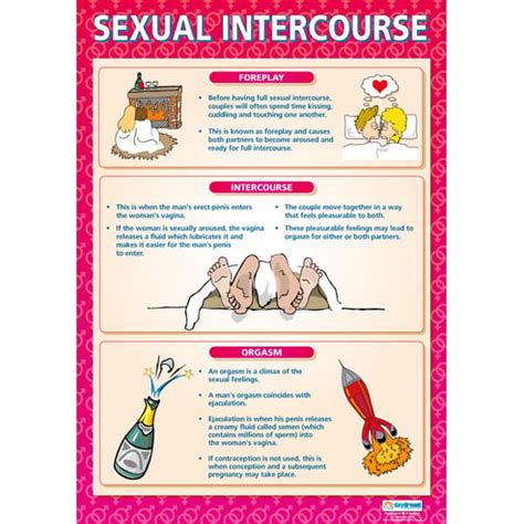 Sexual Intercourse Poster Daydream Education
