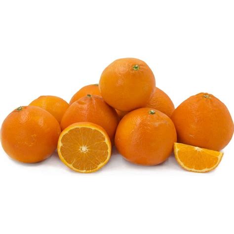Mandarin Daisy Fruit Tree Buy Now Ladybird Nursery