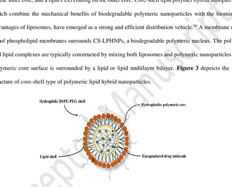 Core Shell Type Polymeric Lipid Hybrid Nanoparticles Download Scientific Diagram