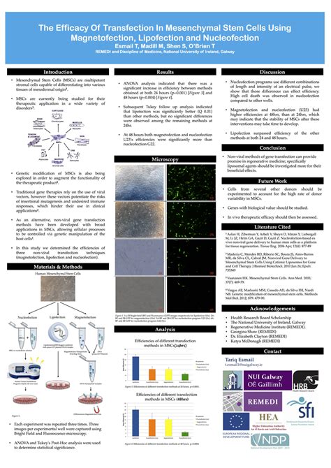Pdf The Efficiency Of Transfection In Mesenchymal Stem Cells Using Magnetofection Lipofection