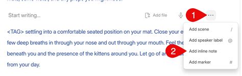 Inline Notes Descript Help