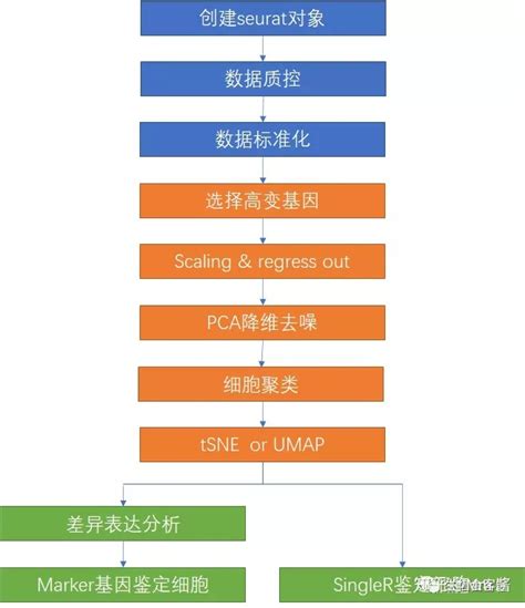 Seurat单细胞数据分析 Csdn博客