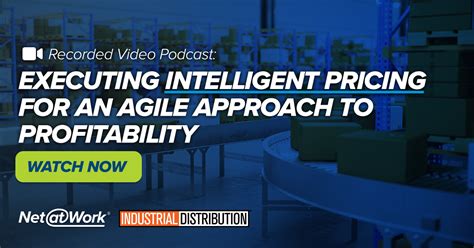 Executing Intelligent Pricing For An Agile Approach To Profitability