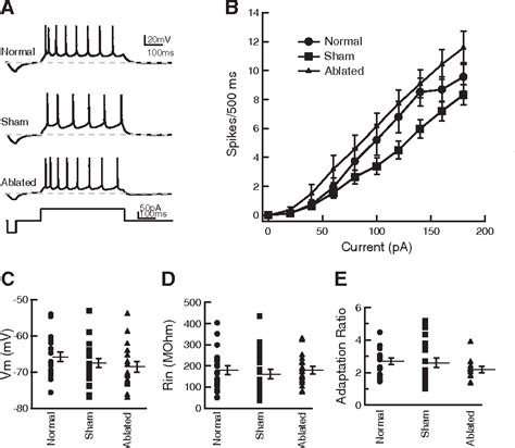 Figure 2 From Hearing Loss Alters Serotonergic Modulation Of Intrinsic Excitability In Auditory