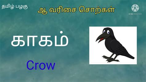 ஆ வரிசை சொற்கள் தமிழ் பயிற்சித்தாள் Youtube
