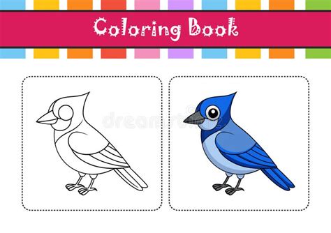 Vivid Blue Jay Bird Design Stock Vector Illustration Of Collection