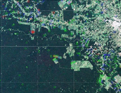 One Year Of Modis Active Fire Type Classification Results Colored Download Scientific Diagram