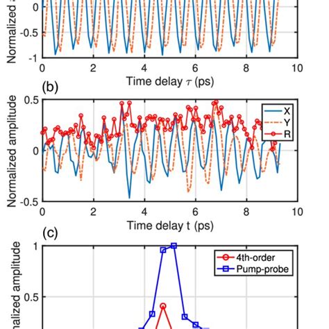 One Dimensional Time Domain Spectra For A Two Pulse Pump Probe