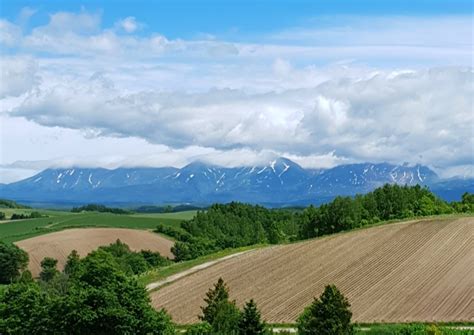 홋카이도 2024 인기 명소 홋카이도 트립 가이드 홋카이도 인기 명소 입장권 추천 호텔 가 볼 만한 곳 식사 맛집 트립닷컴