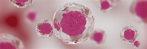 Qanda Optimizing Surgical Outcomes With Amniotic Tissue For Chronic