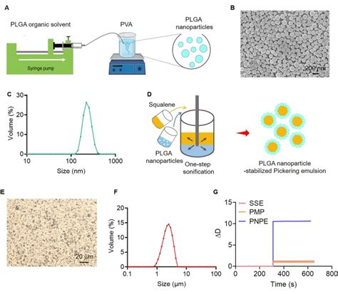 Cellular Affinity Of Particle Stabilized Emulsion To Boost Antigen