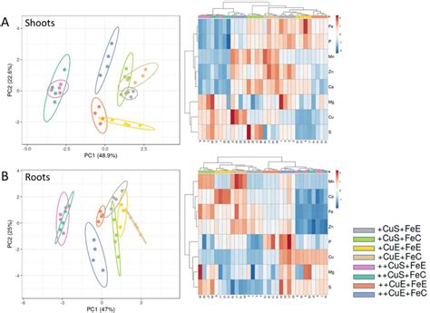 Pca Analyses And Heatmap Clustering Based On Elemental Composition Of Download Scientific