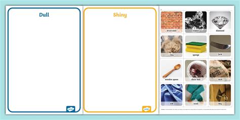Dull Or Shiny Sorting Activity Ks1 Science Teacher Made