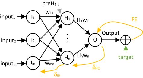 Propagating Error Back To Correct Weights Download Scientific Diagram