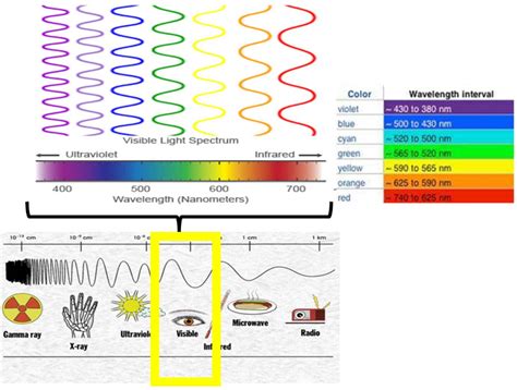 What Color Light Has The Highest Frequency Cbse Tuts