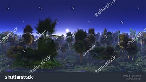 야자나무 Hdri 환경도 라운드 파노라마 구형 스톡 일러스트 2286370005 Shutterstock