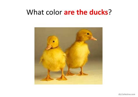 Colors English Esl Powerpoints