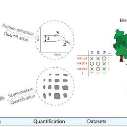 The Dendrogram Shows The Spearman Rankorder Correlation Matrix And The Download Scientific