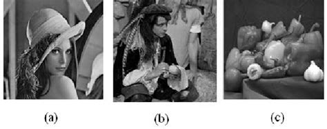 Figure 4 From A Robust Watermarking Algorithm Based On Image