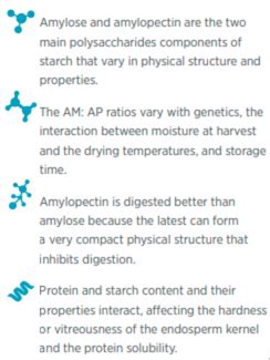 Understanding Corn Variability PART I