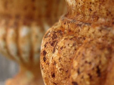 Rust Rust Rusty Food