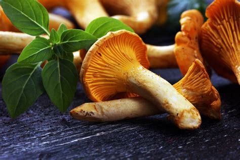 Nagerl Bilder Durchsuchen 53305 Archivfotos Vektorgrafiken Und Videos Adobe Stock