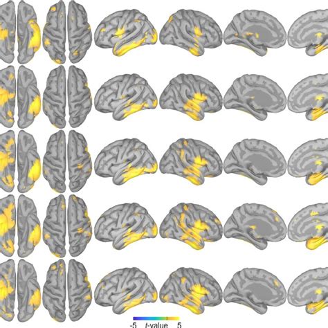 cortical engagement for five temporal windows defined over the story