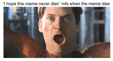 Oh You Cant Do This To Me R Raimimemes