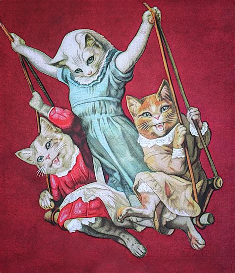 Frisky Kittens Photograph By Jutta Maria Pusl Pixels