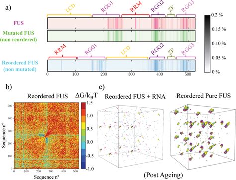 The Location Of The Strong Rna‐binding Domains In Fus Is Compelling To Download Scientific