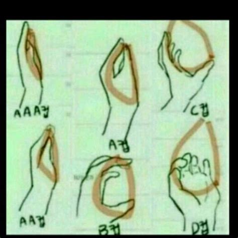 가슴크기 손으로 측정 인스티즈instiz 이슈 카테고리