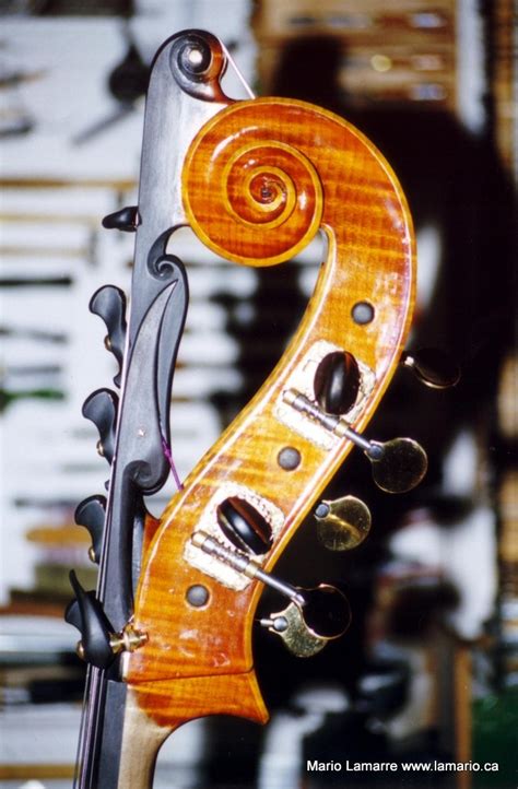 Double Bass 6 String Double Bass Does It Exist