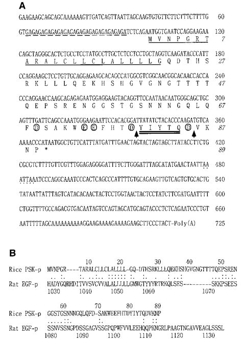 A Nucleic Acid And Deduced Amino Acid Sequences Of Ospsk Cdna The Ga