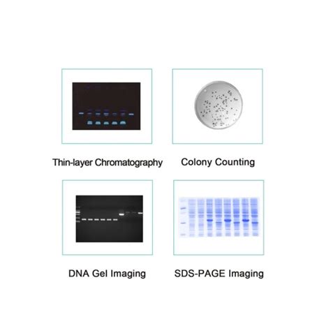 Biobase Gel Imaging Analyzer Electrophoresis Gel Document Imaging