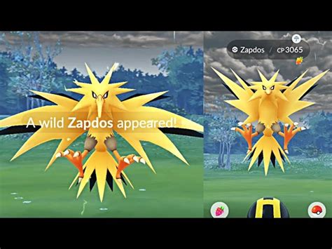 Zapdos Pokemon Go