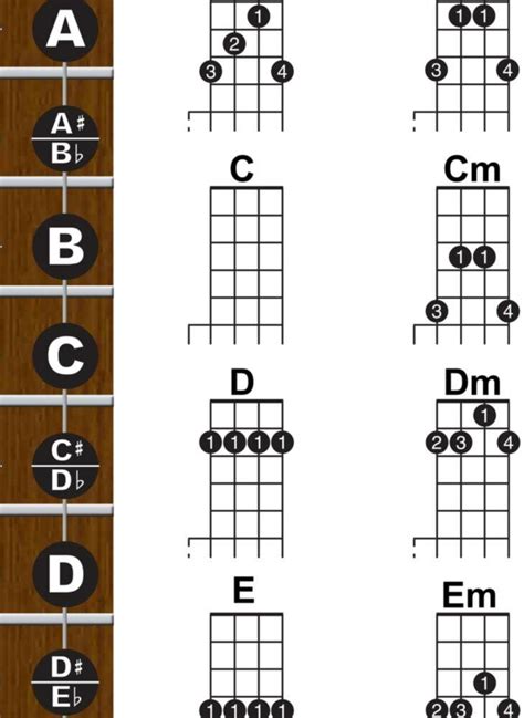 5 String Banjo Tuning Chords