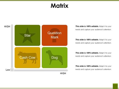 Matrix Ppt Powerpoint Presentation Show Summary